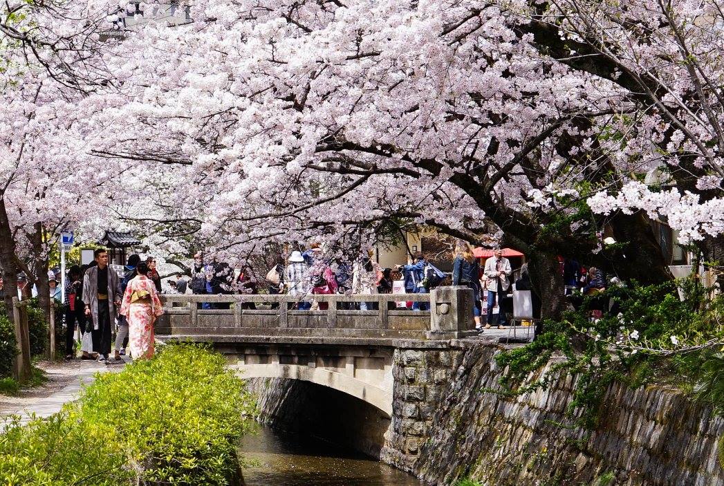 Konnichiwa, Kansai! The first timer’s FAQ to Kyoto – Chue On It
