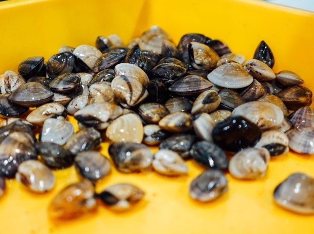 WAWA Seafood @ Stars of Kovan, Kovan – Street Food Featuring Live ...