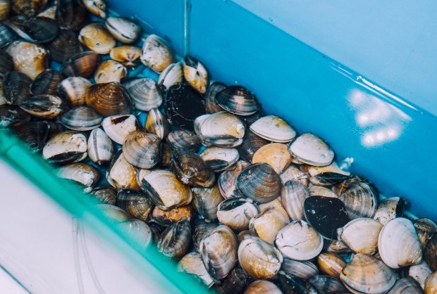 WAWA Seafood @ Stars of Kovan, Kovan – Street Food Featuring Live ...