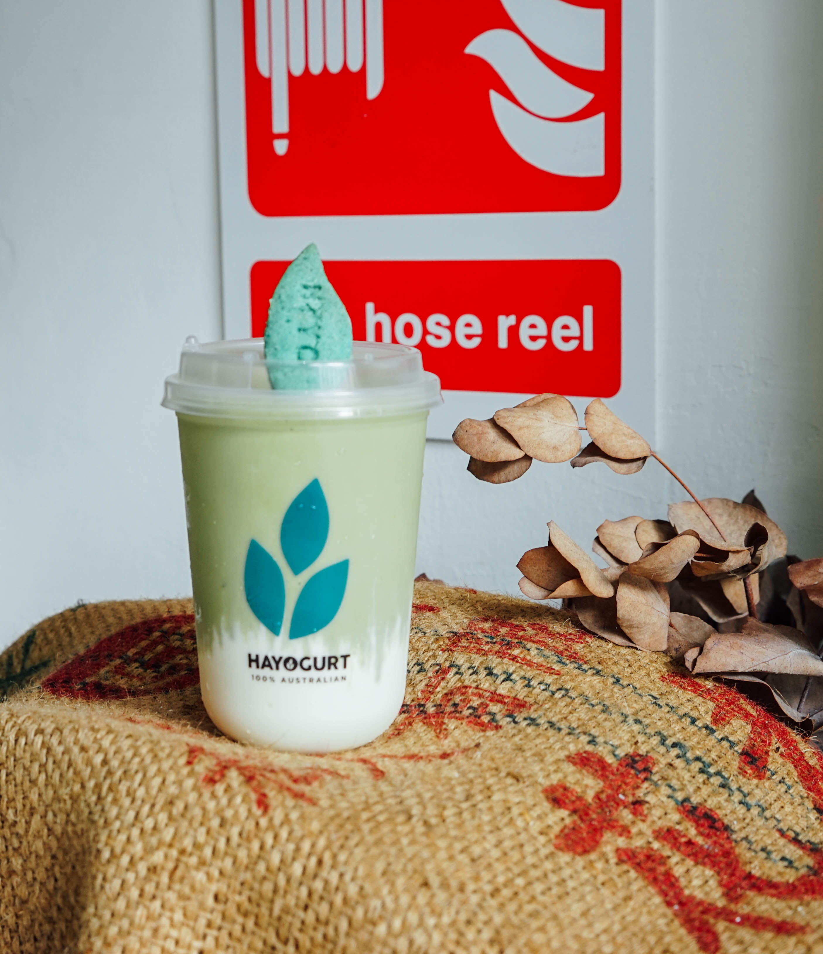 [CLOSED] HAYO Handcrafted Yogurt Bar Japan Autumn Season Special ...
