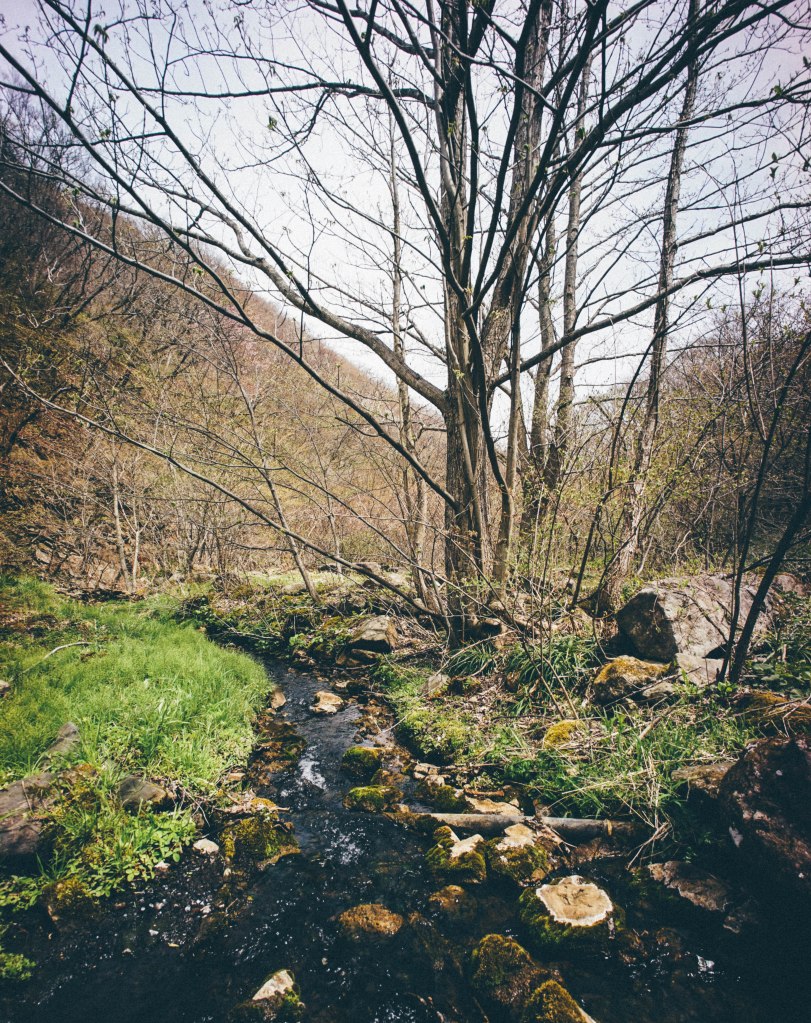 When in Tochigi: Exploring Nasu Highlands, Tochigi’s Picturesque ...