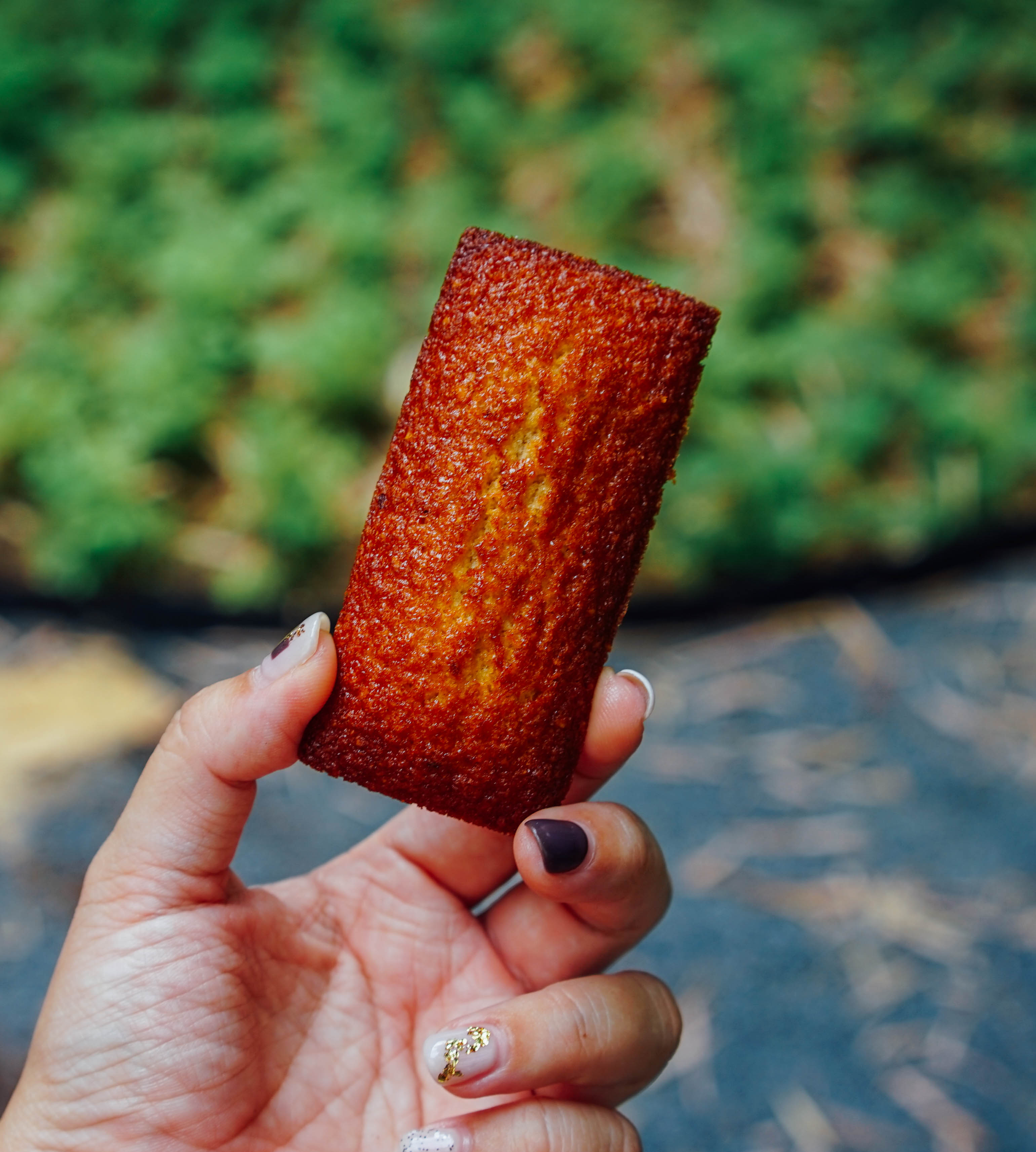 [CLOSED] Paaru Bakery @ Pearl’s Hill Terrace, Chinatown – Fresh ...