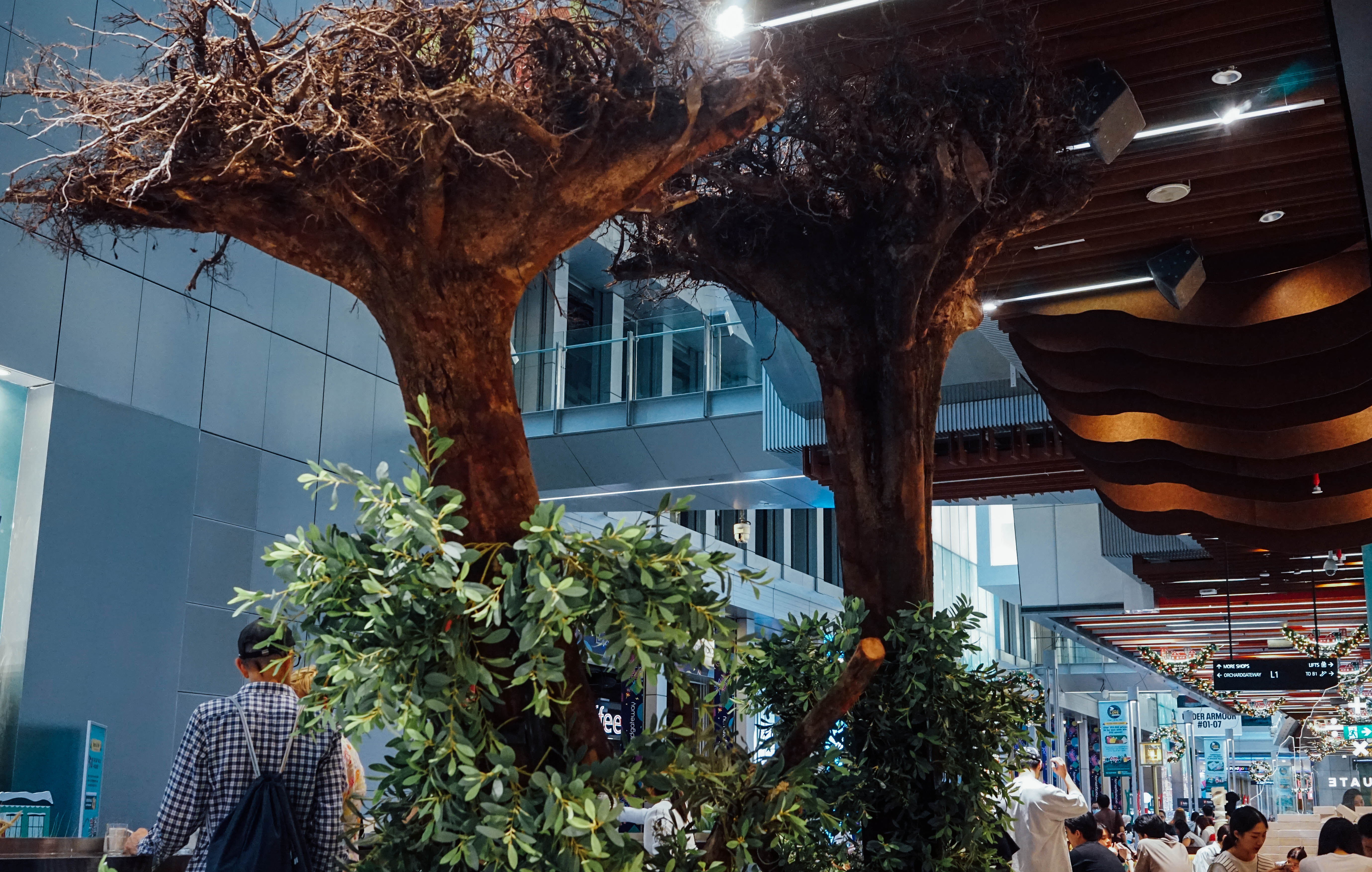 Equate Coffee @ Orchard Central, Somerset – Minimalist, Stylish Cafe ...